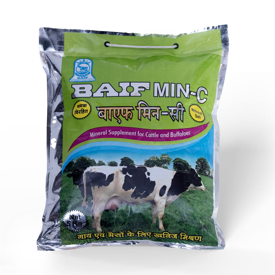 Cattle Mineral Mixture for Dairy Cattle Nutrition and Growth – BAIF AGRO